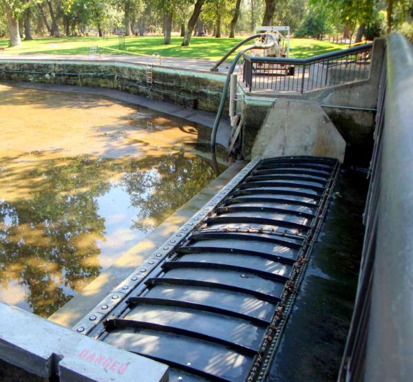 Sycamore Pool Operations – Friends of Bidwell Park